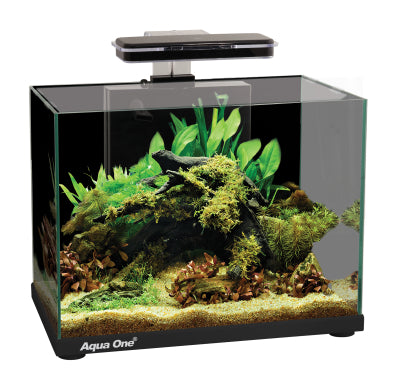 Aqua One Focus 25L Aquarium - Bush's Produce Bendigo